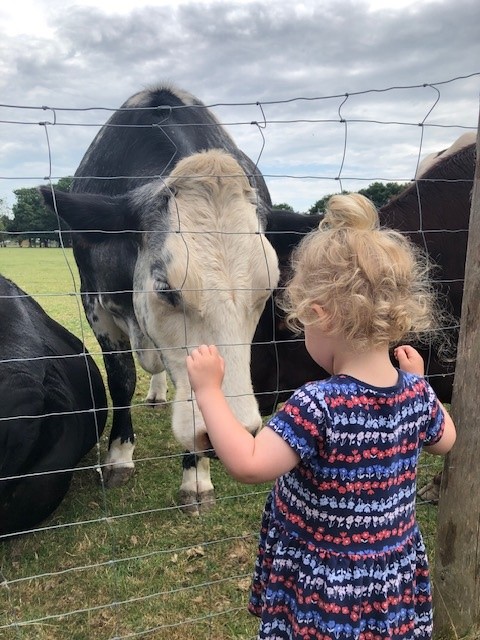'Nero the Brave Little Bull' in Ashford | CommunityAd